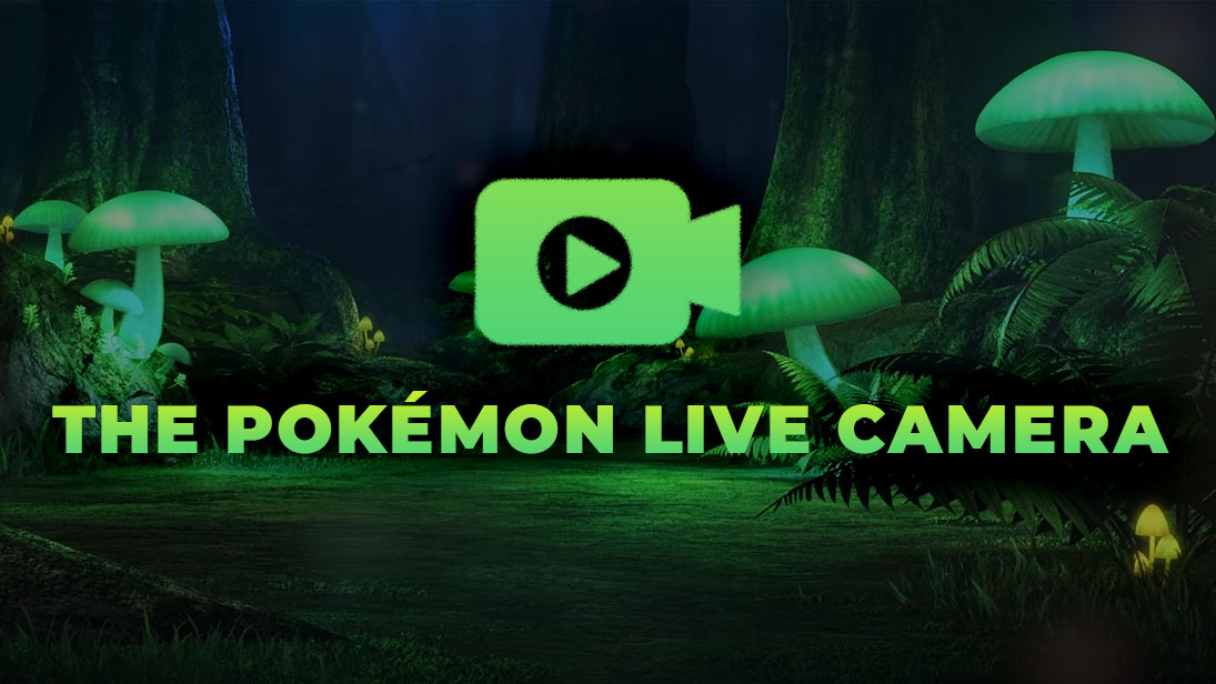 Fighting-type Gym Leader Bea | Official Website | Pokémon Sword and ...