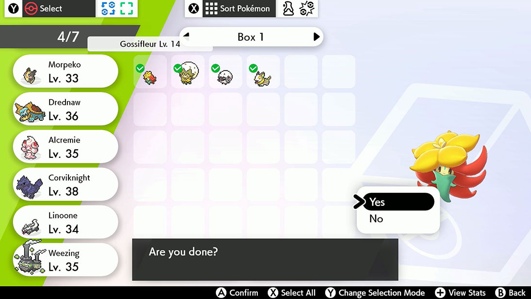 Poké Jobs | Official Website | Pokémon Sword and Pokémon Shield